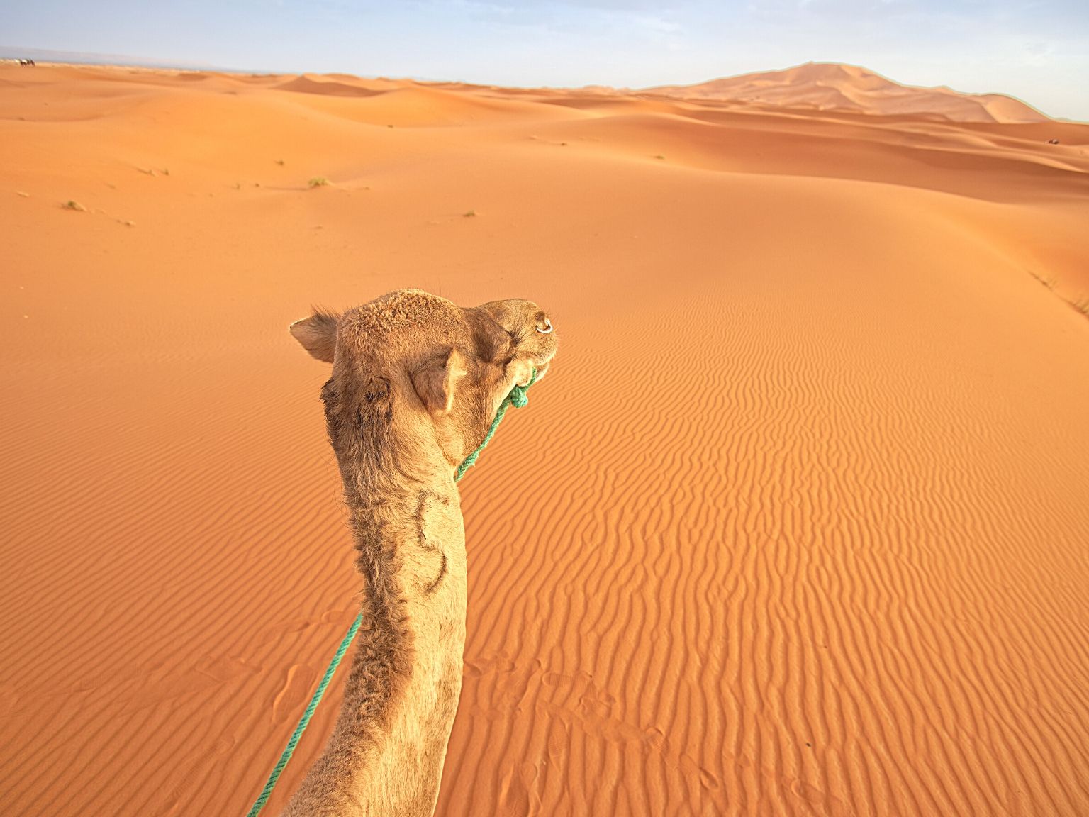 The 3 Best Marrakech desert tours - Holiday Morocco Tours