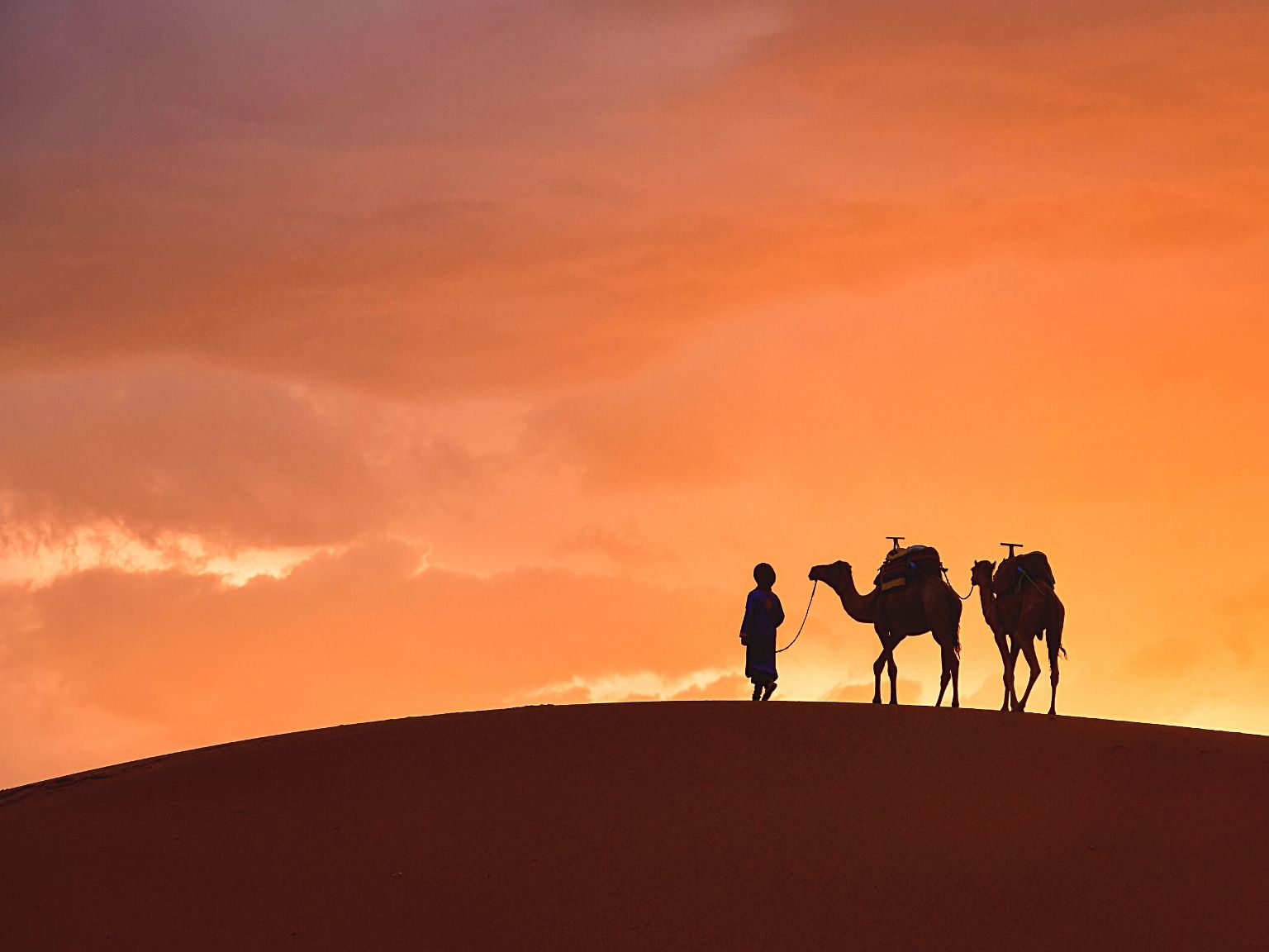 The Best Marrakech to Fes desert tours - Holiday Morocco Tours