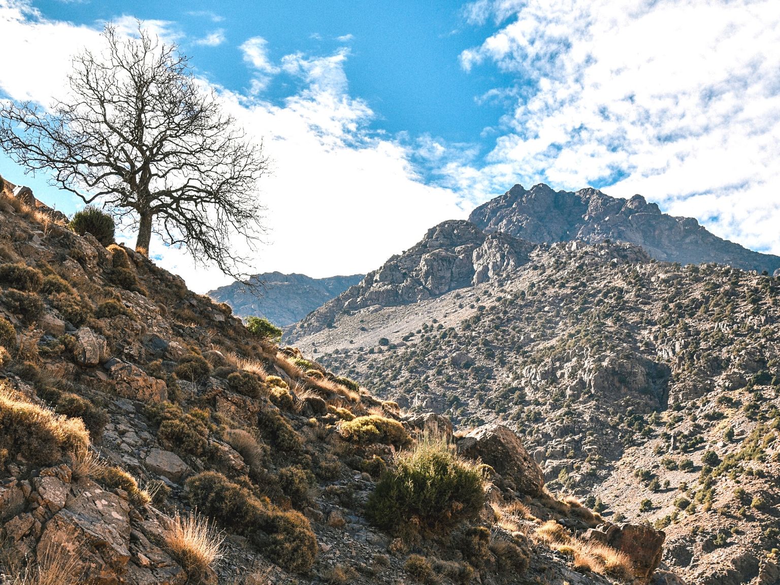 National parks in Morocco - Holiday Morocco Tours